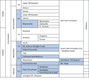 Acidaspis cincinnatiensis – Atlas of Ordovician Life