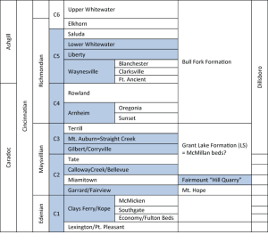 Liospira vitruvia – Atlas of Ordovician Life