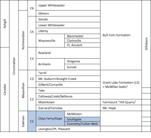 Dalmanella emacerata – Atlas of Ordovician Life