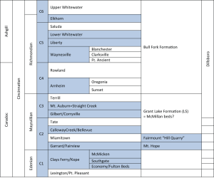 Cyclora depressa – Atlas of Ordovician Life